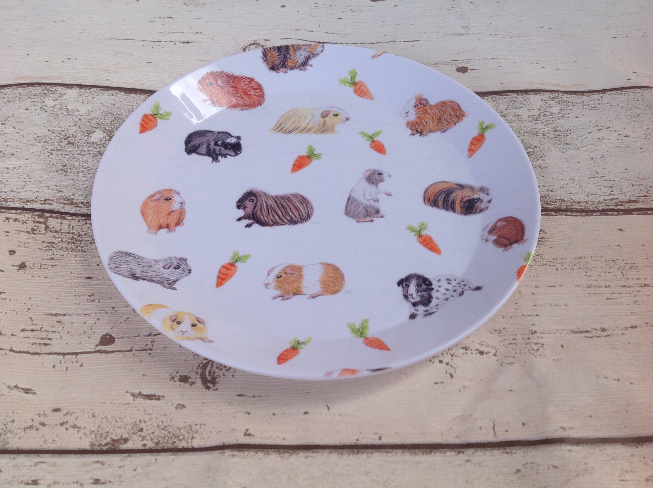 New Guinea Pig Print/ Plates/ Dinner Plates/ Kitchenware/ | Etsy UK