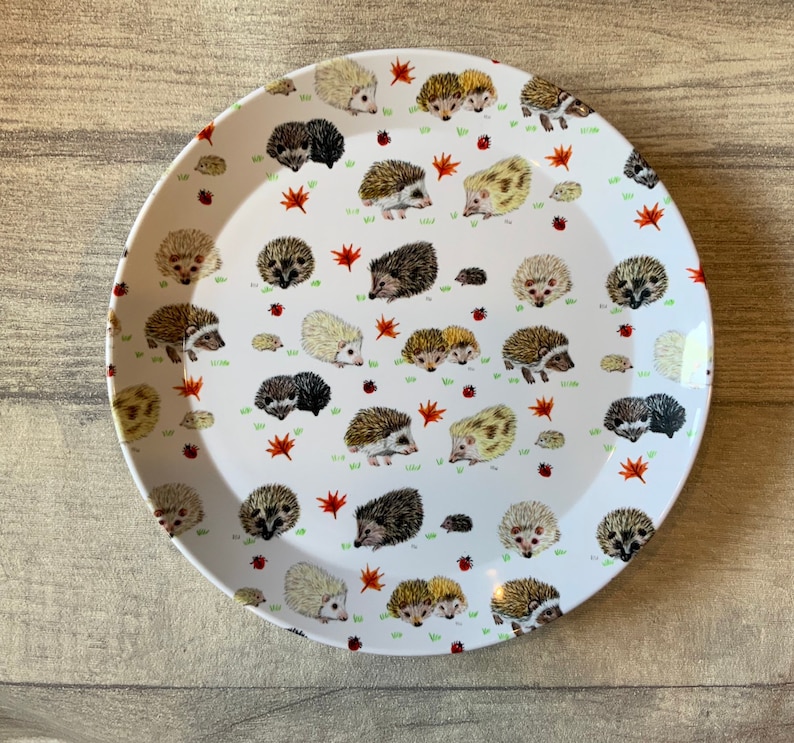 New Hedgehog Plates Dinner Plates Kitchenware Childrens - Etsy