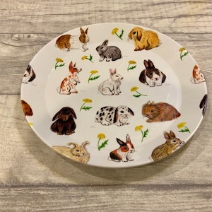 New/ Rabbit/ Plates/ Bunny/ Dinner Plates/ Kitchenware/ Childrens ...
