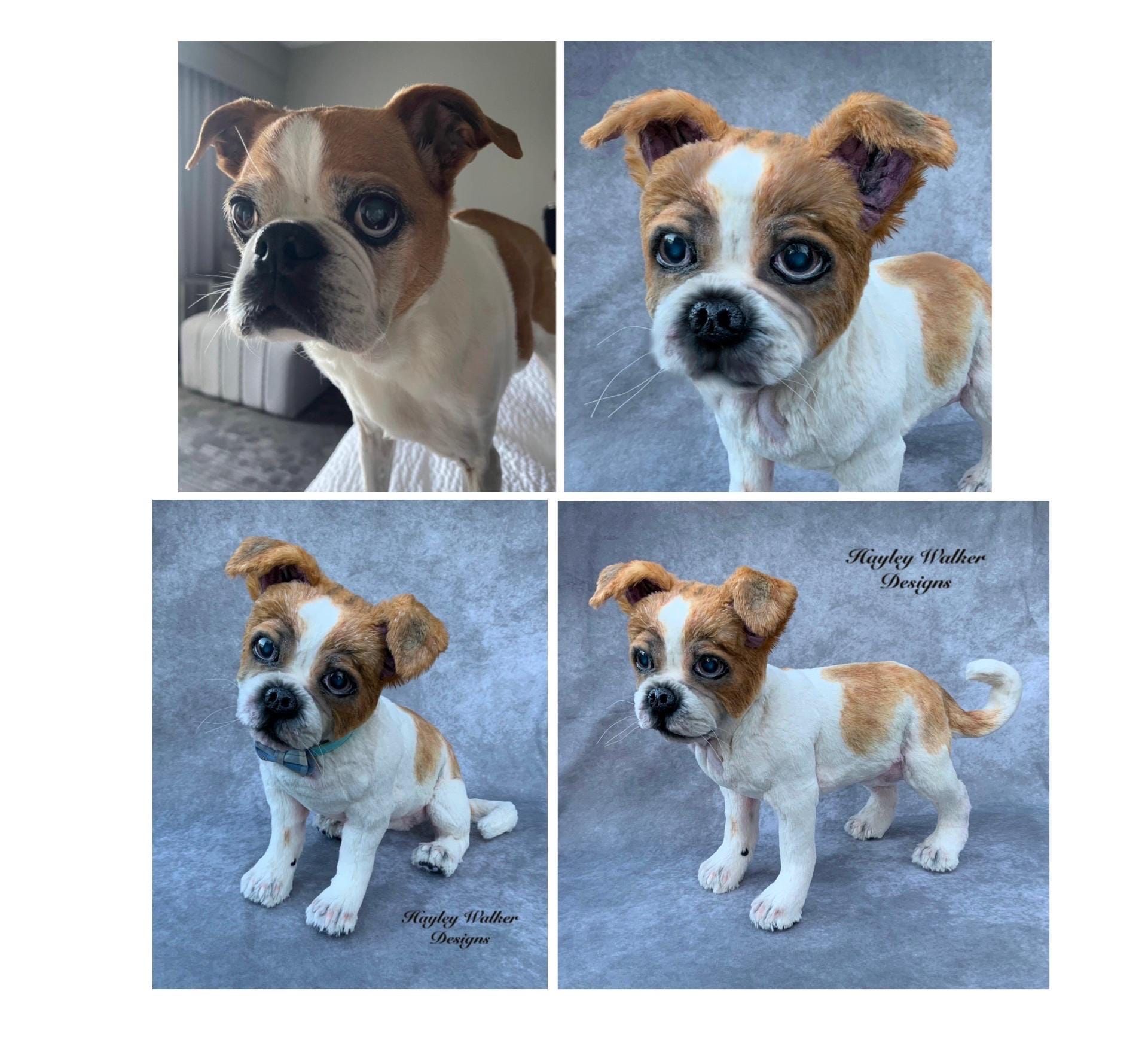 Custom Made Dog, Life Size, Dog Replica, Poseable, Soft Sculpture ...