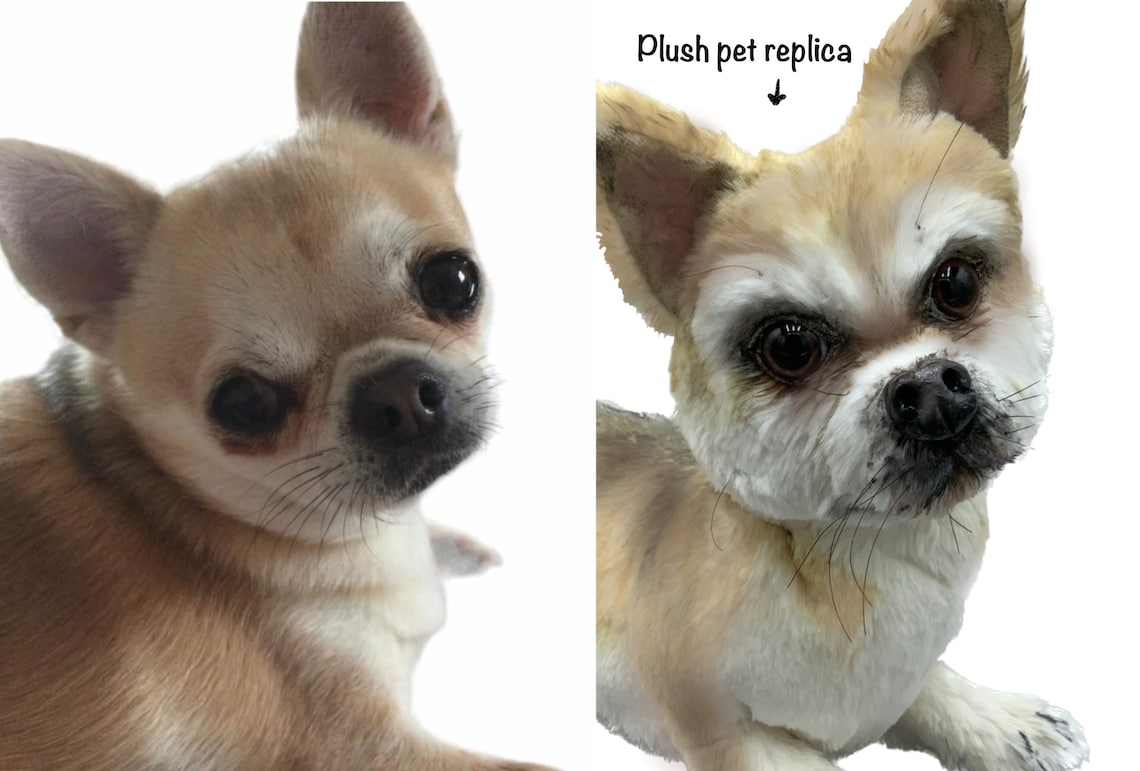 Custom Made Dog, Life Size, Dog Replica, Poseable, Soft Sculpture ...