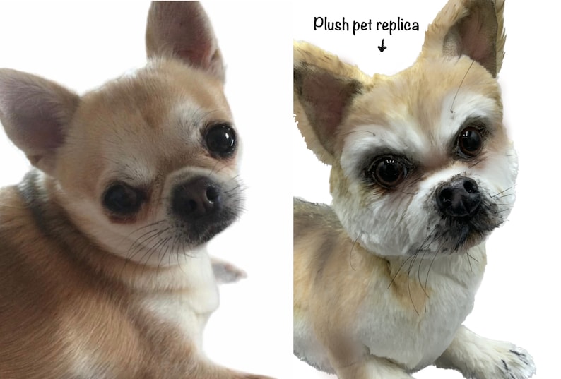 Custom Made Dog, Life Size, Dog Replica, Poseable, Soft Sculpture ...