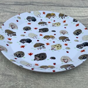 New, Hedgehog, Plates, Dinner Plates, Kitchenware, Children’s Plates ...
