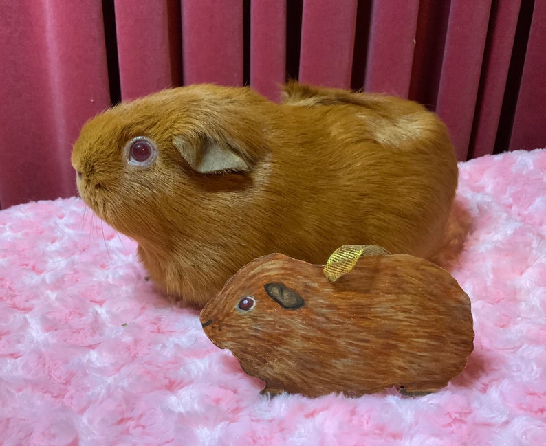 Guinea Pig Custom Pet Portrait Guinea Pig Personalised - Etsy Canada