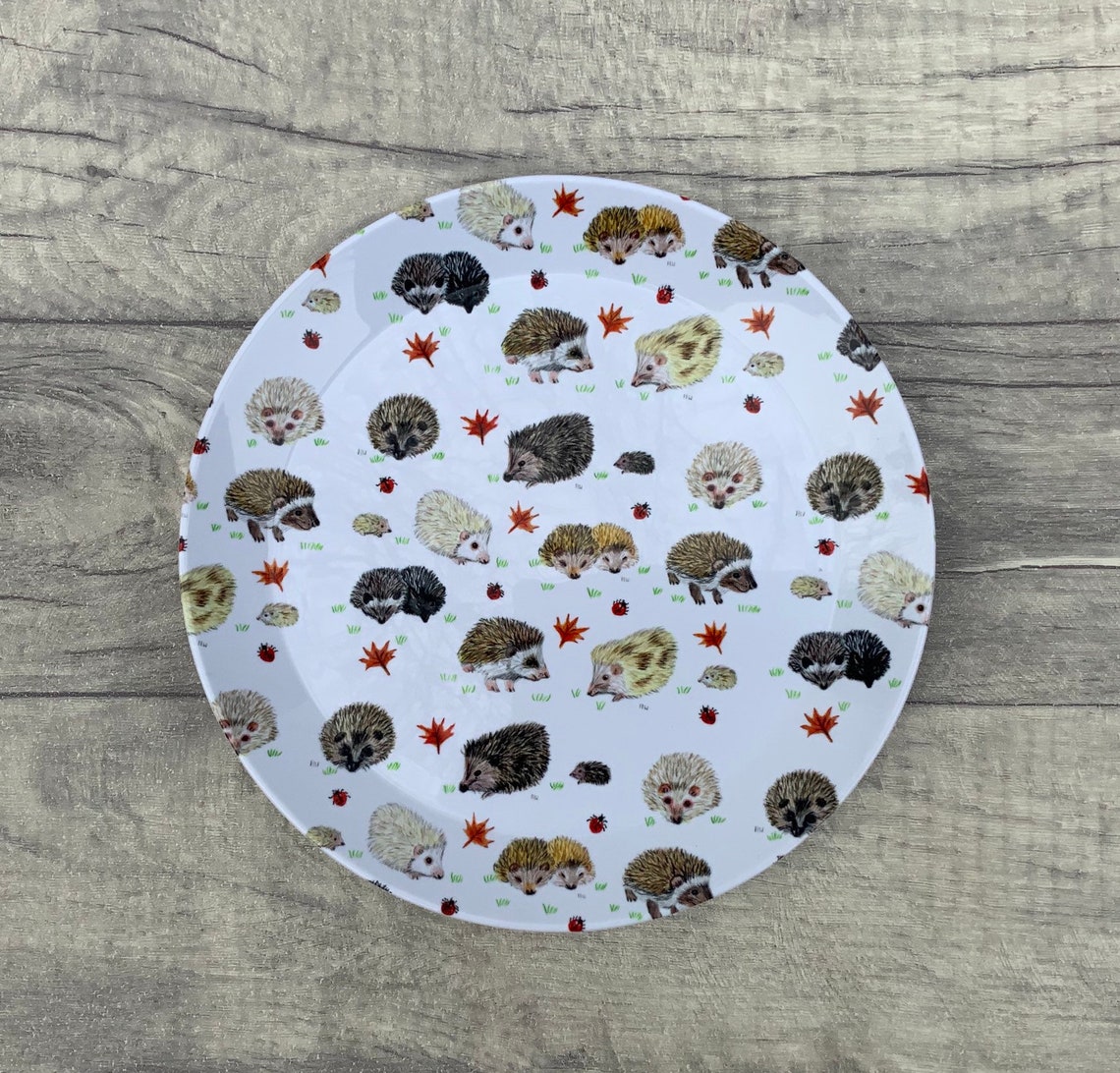 New Hedgehog Plates Dinner Plates Kitchenware Childrens - Etsy