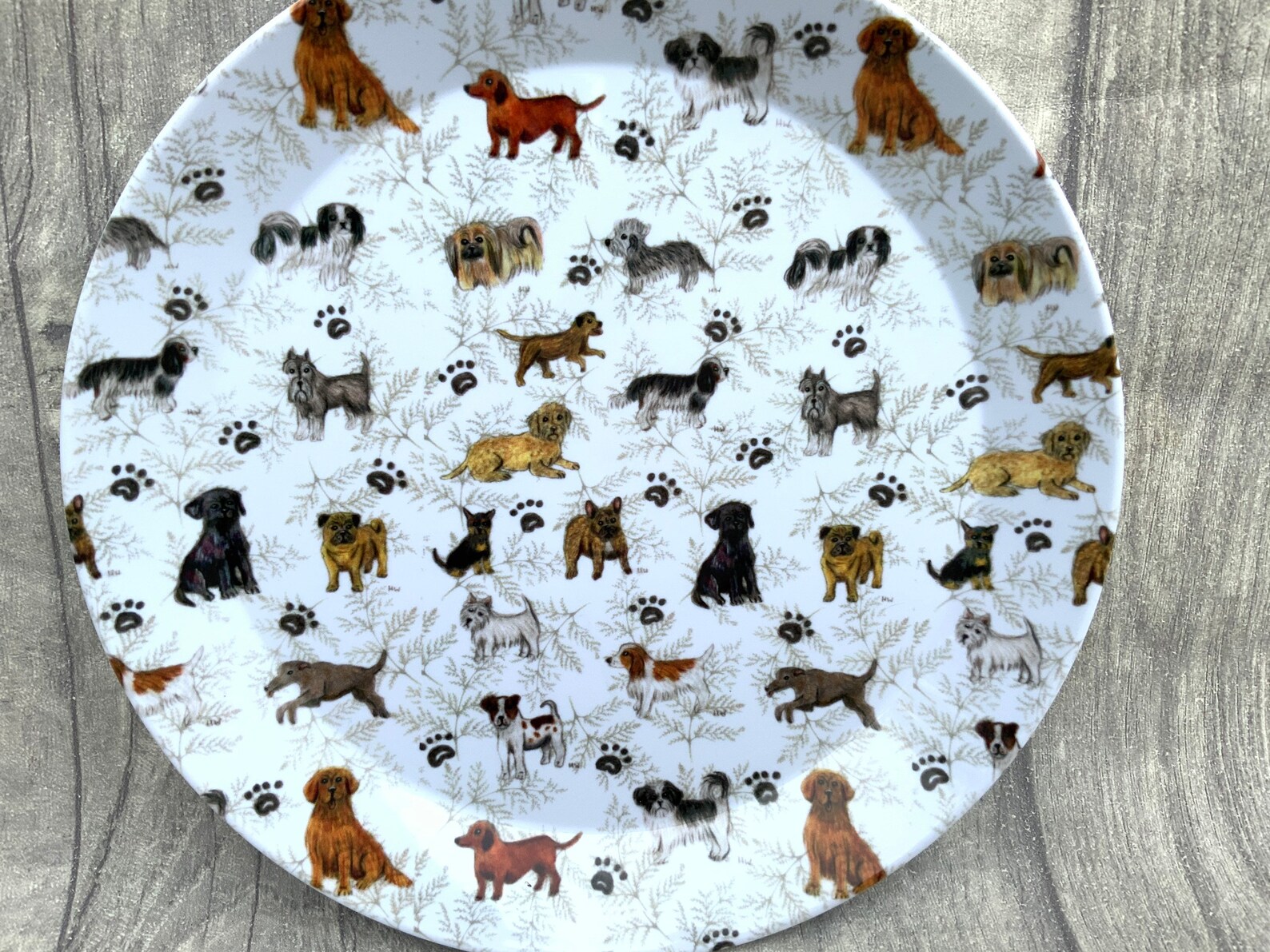 New Dog Print/ Plates/ Dinner Plates/ Kitchenware/ Childrens - Etsy