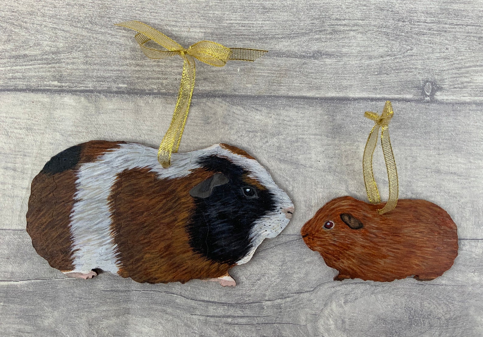 Guinea Pig Custom Pet Portrait Guinea Pig Personalised - Etsy Canada