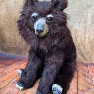Realistic Black Bear Cub, Artist Bear, Art Doll, Soft Sculpture ...