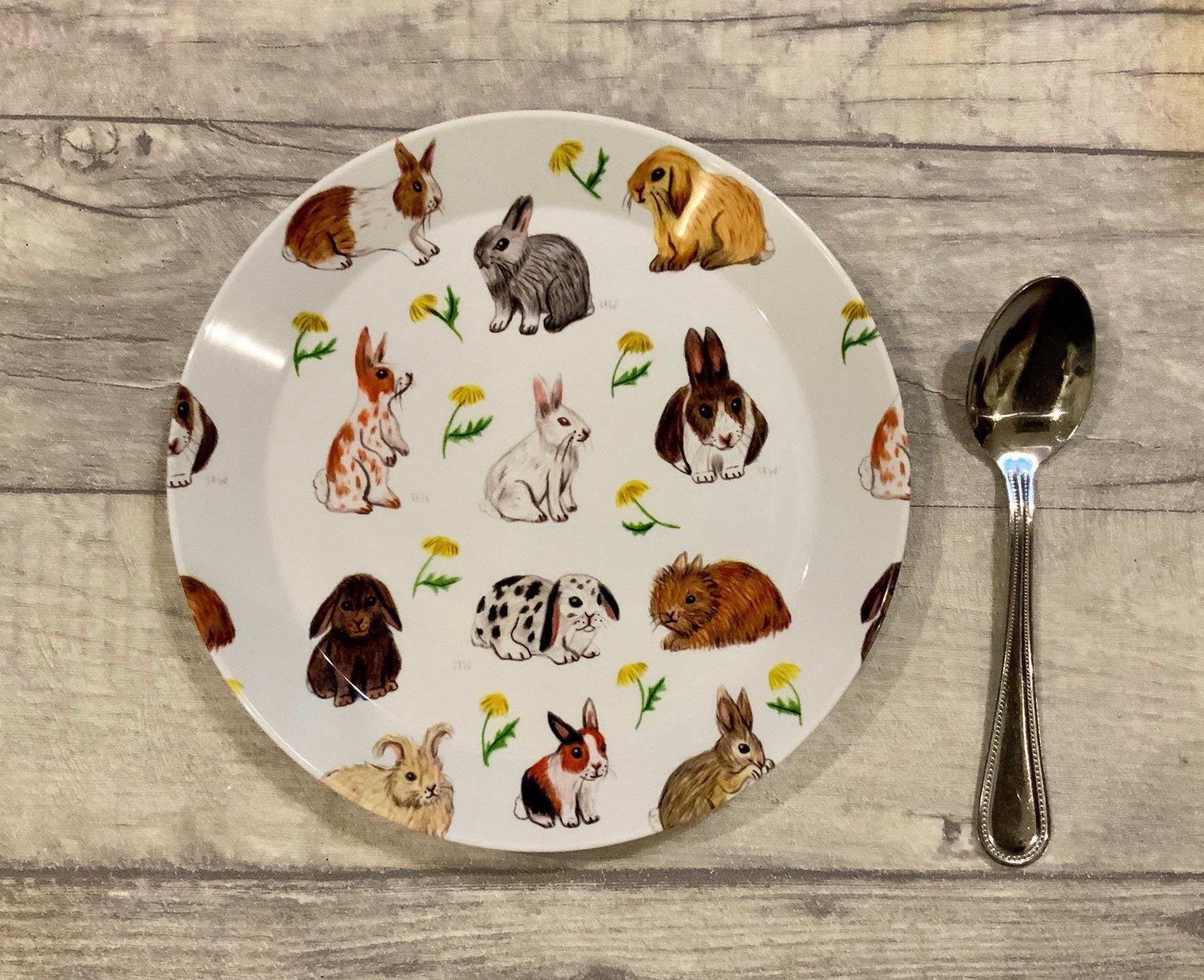 New/ Rabbit/ Plates/ Bunny/ Dinner Plates/ Kitchenware/ Childrens ...