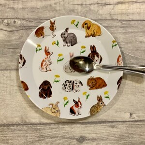 New/ Rabbit/ Plates/ Bunny/ Dinner Plates/ Kitchenware/ Childrens ...