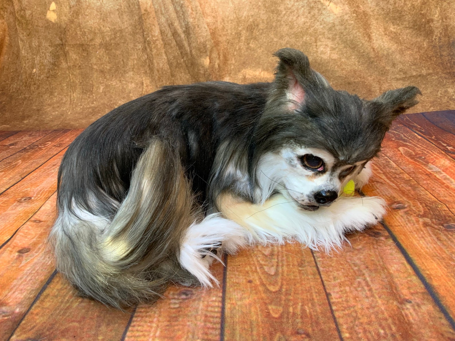 Custom Made Dog Life Size Dog Replica Soft Sculpture - Etsy