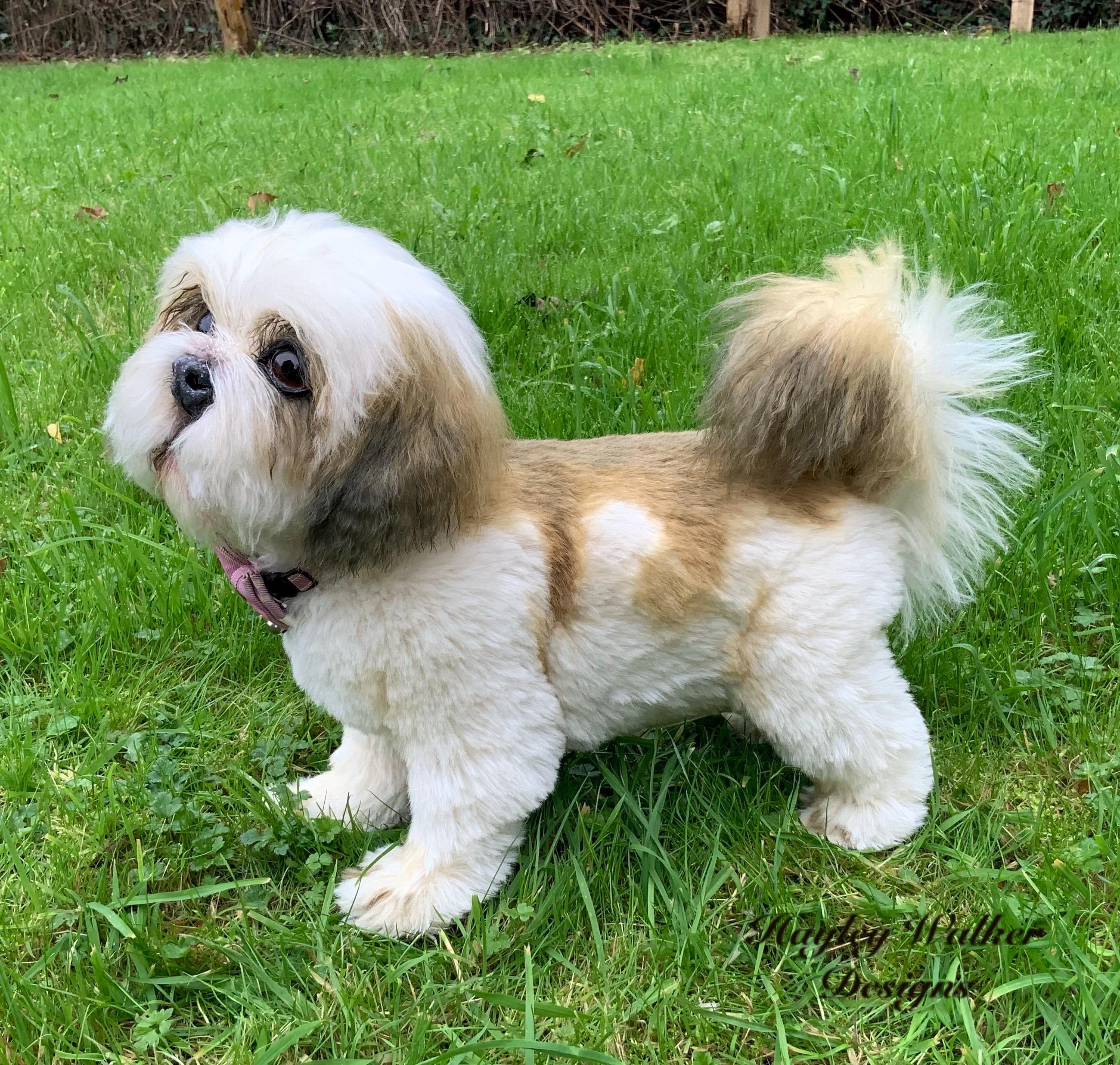 Custom Made Dog, Life Size, Dog Replica, Poseable, Soft Sculpture ...
