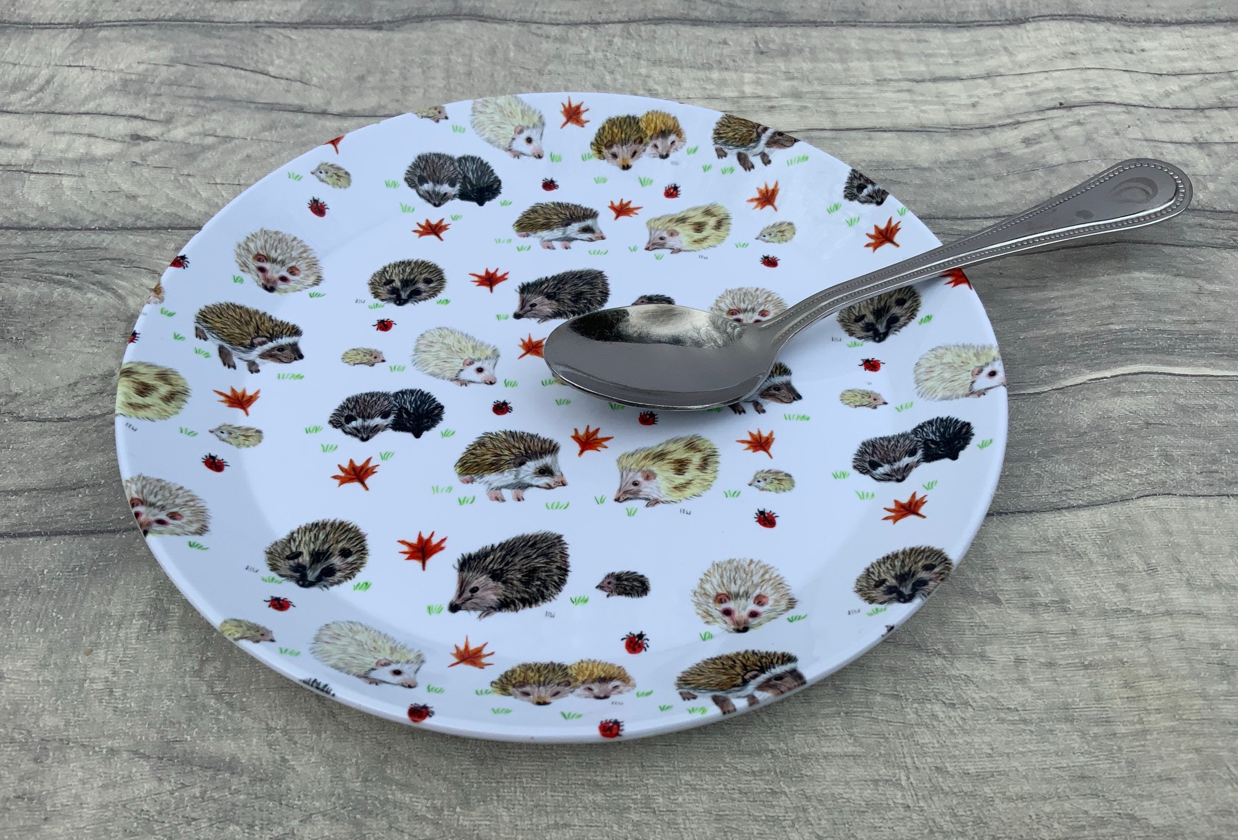 New Hedgehog Plates Dinner Plates Kitchenware Childrens | Etsy UK