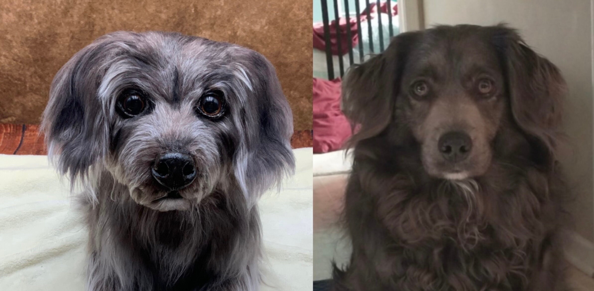 Custom Made Dog, Life Size, Dog Replica, Poseable, Soft Sculpture ...