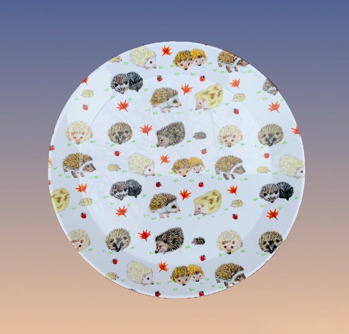 New Hedgehog Plates Dinner Plates Kitchenware Childrens - Etsy