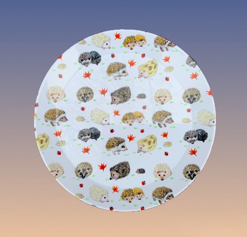 New Hedgehog Plates Dinner Plates Kitchenware Childrens - Etsy
