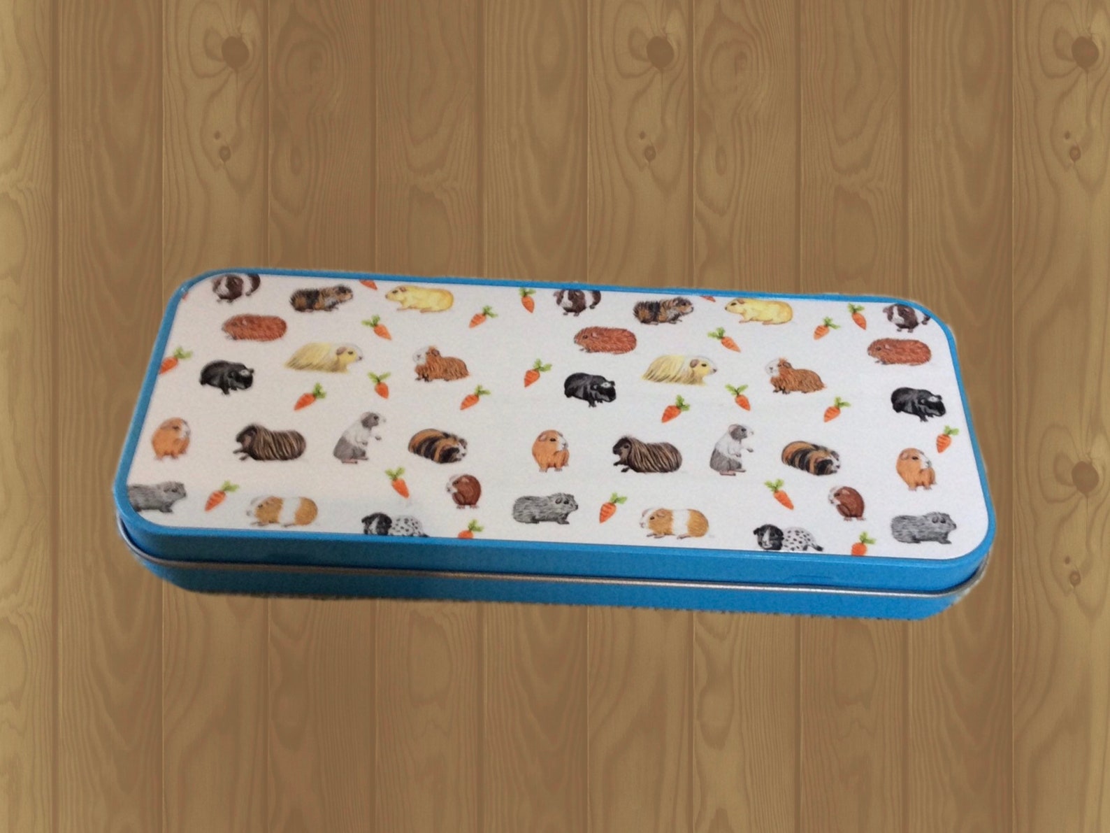 Pencil Tin Guinea Pig Pencil Case Stationery Case Guinea | Etsy