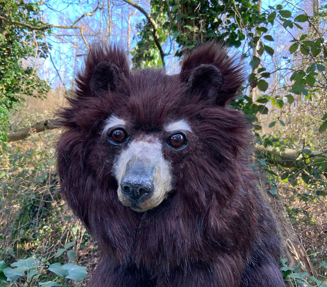 Realistic Black Bear Cub, Artist Bear, Art Doll, Soft Sculpture ...
