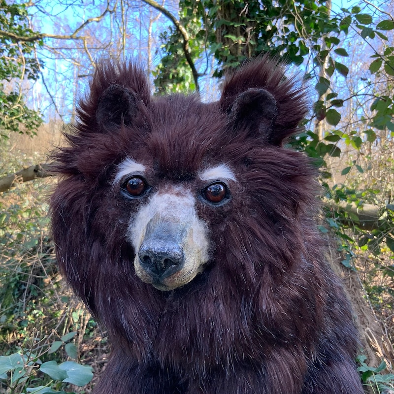 Realistic Bear Costume - Etsy