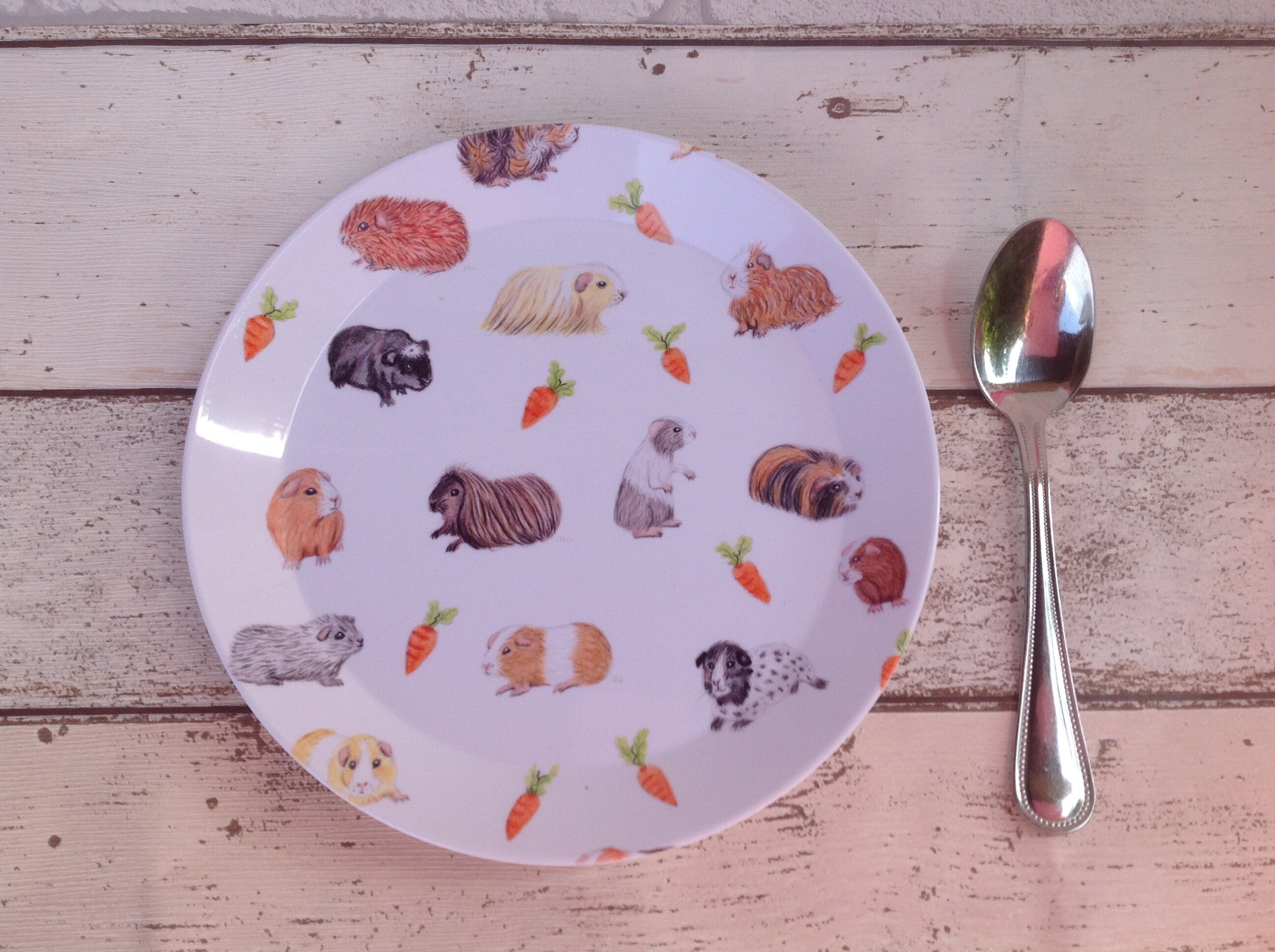 New Guinea Pig Print/ Plates/ Dinner Plates/ Kitchenware/ | Etsy UK