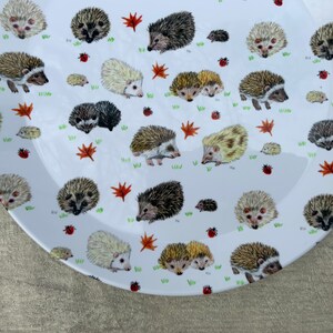 New, Hedgehog, Plates, Dinner Plates, Kitchenware, Children’s Plates ...