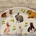 New/ Rabbit/ Plates/ Bunny/ Dinner Plates/ Kitchenware/ - Etsy
