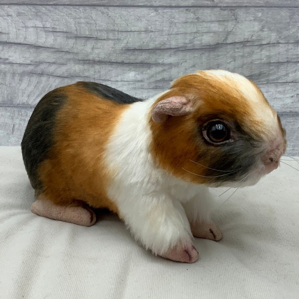 Guinea Pig Plush Realistic - Etsy