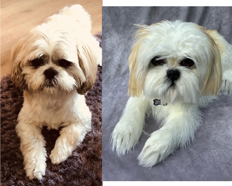Custom Made Dog, Life Size, Dog Replica, Poseable, Soft Sculpture ...