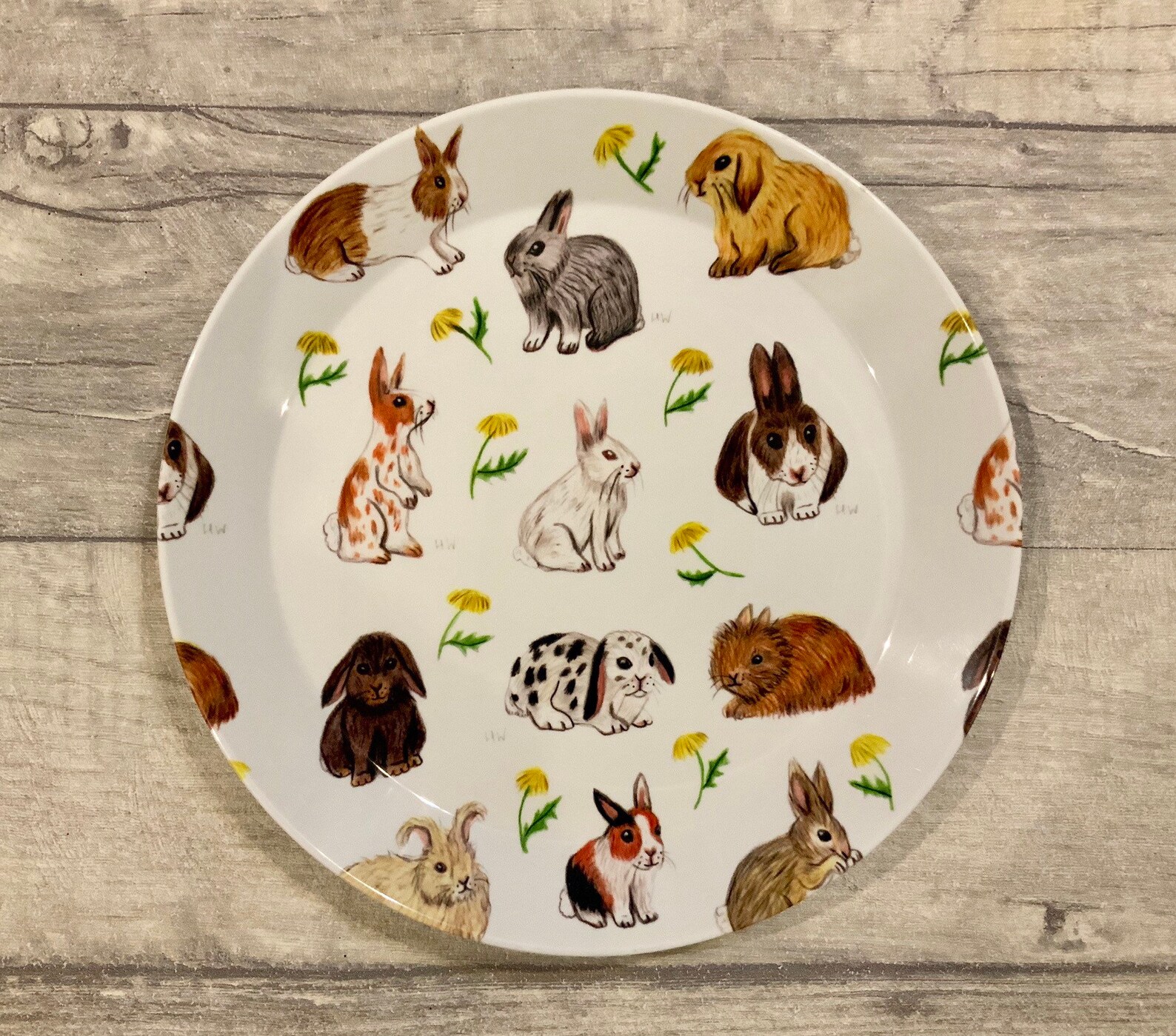 New/ Rabbit/ Plates/ Bunny/ Dinner Plates/ Kitchenware/ | Etsy
