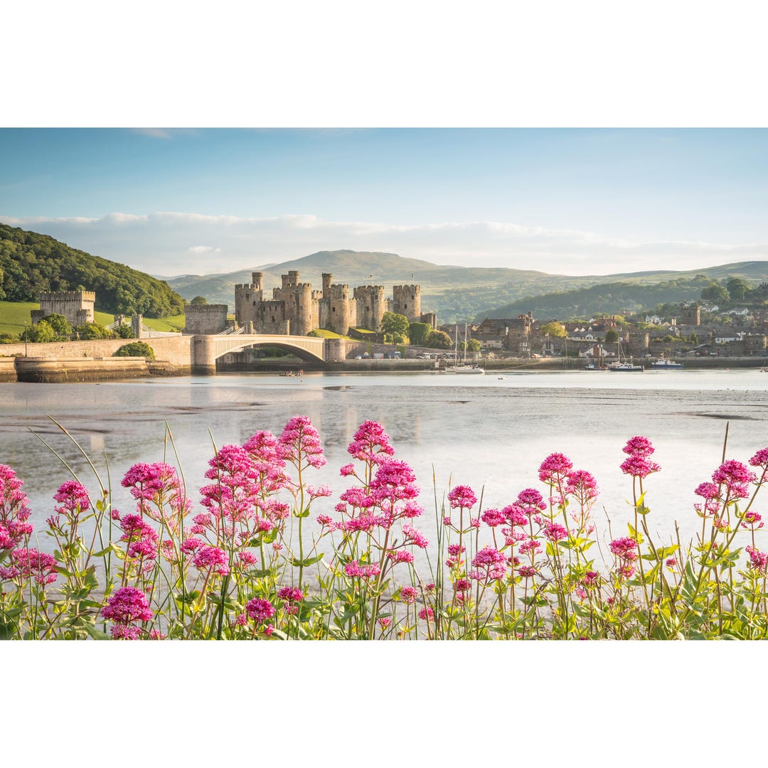 Conwy Castle - A Splash of Colour - Conwy, North Wales - Photograph ...