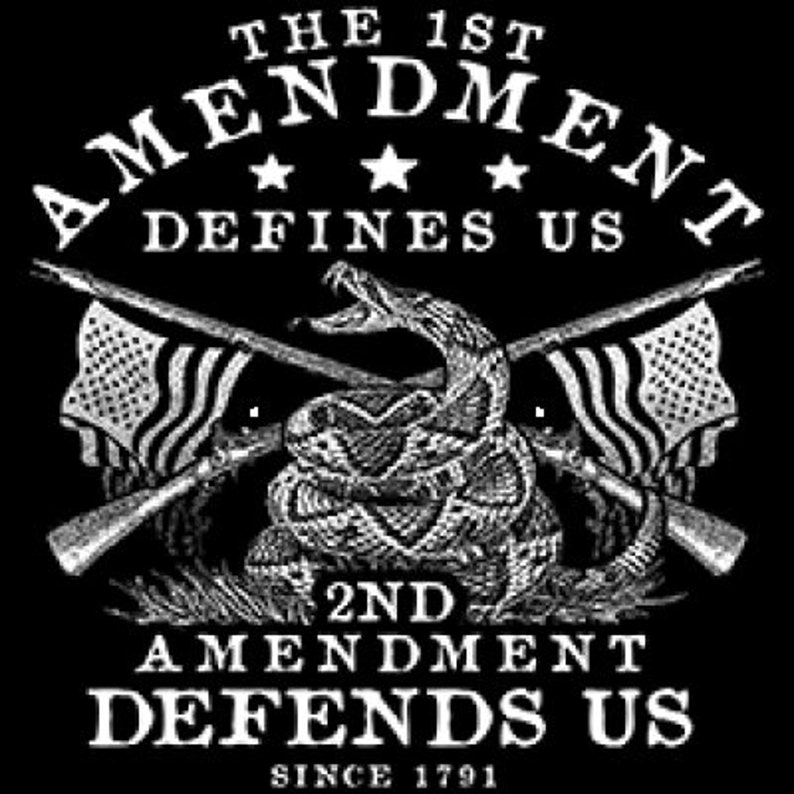 The 1st Amendment Defines Us, the 2nd Amendment Defends Us Shirt - Etsy