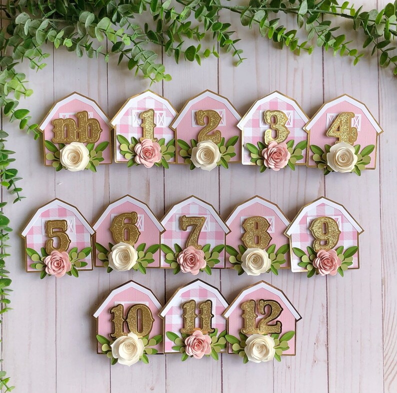 Pink Barn Monthly Photo Banner Farm Photo Banner Farm - Etsy