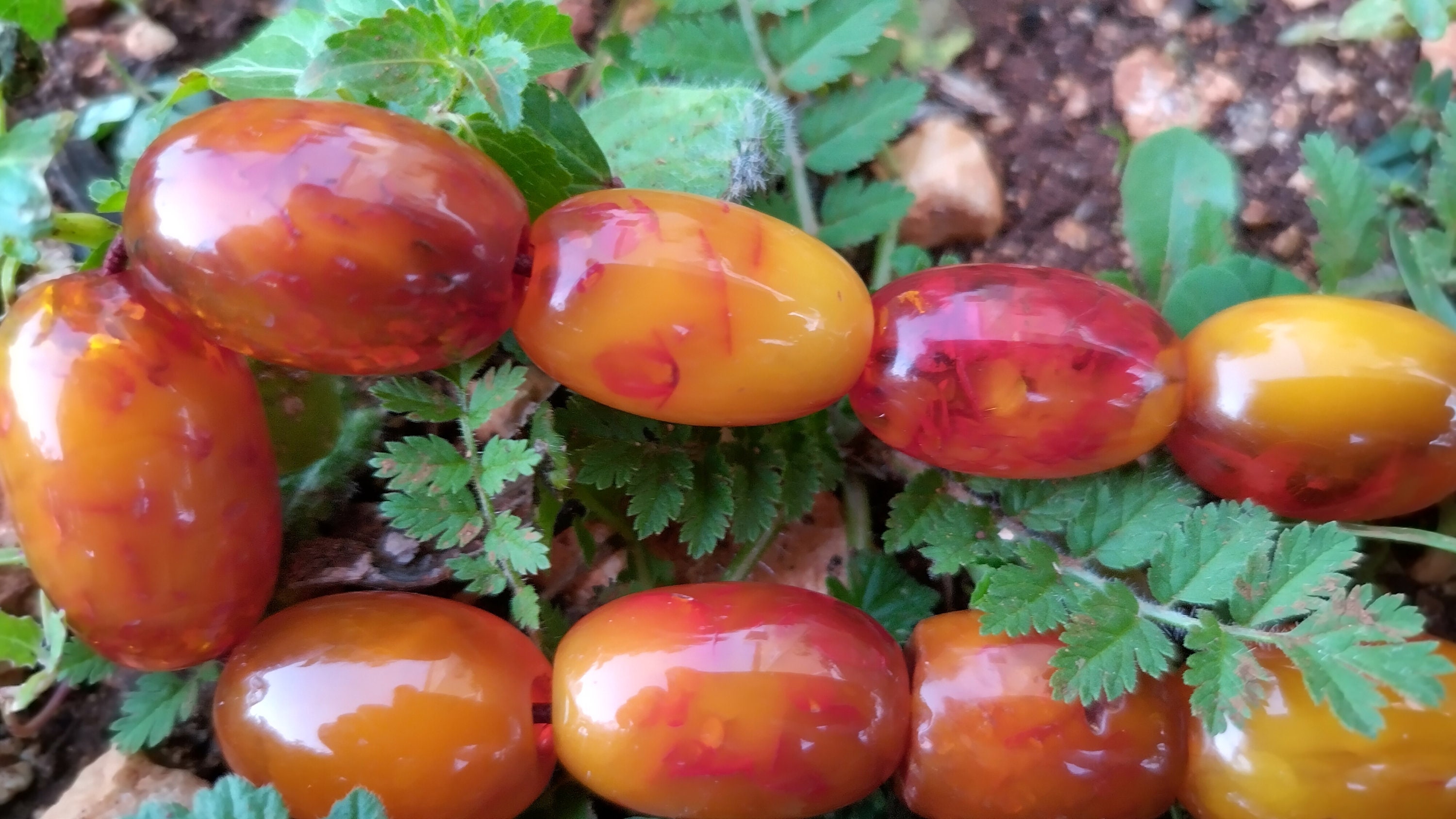 Red Amber Kahraman Multicolour Rarest Only One of a Kind Tesbih ...
