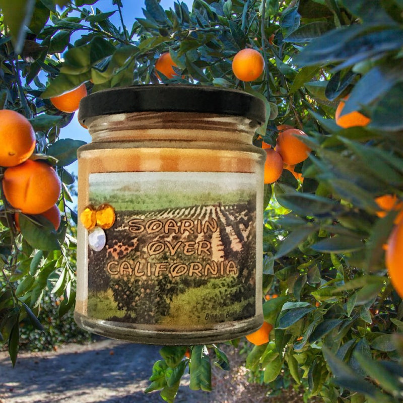 Soarin Over California - Etsy