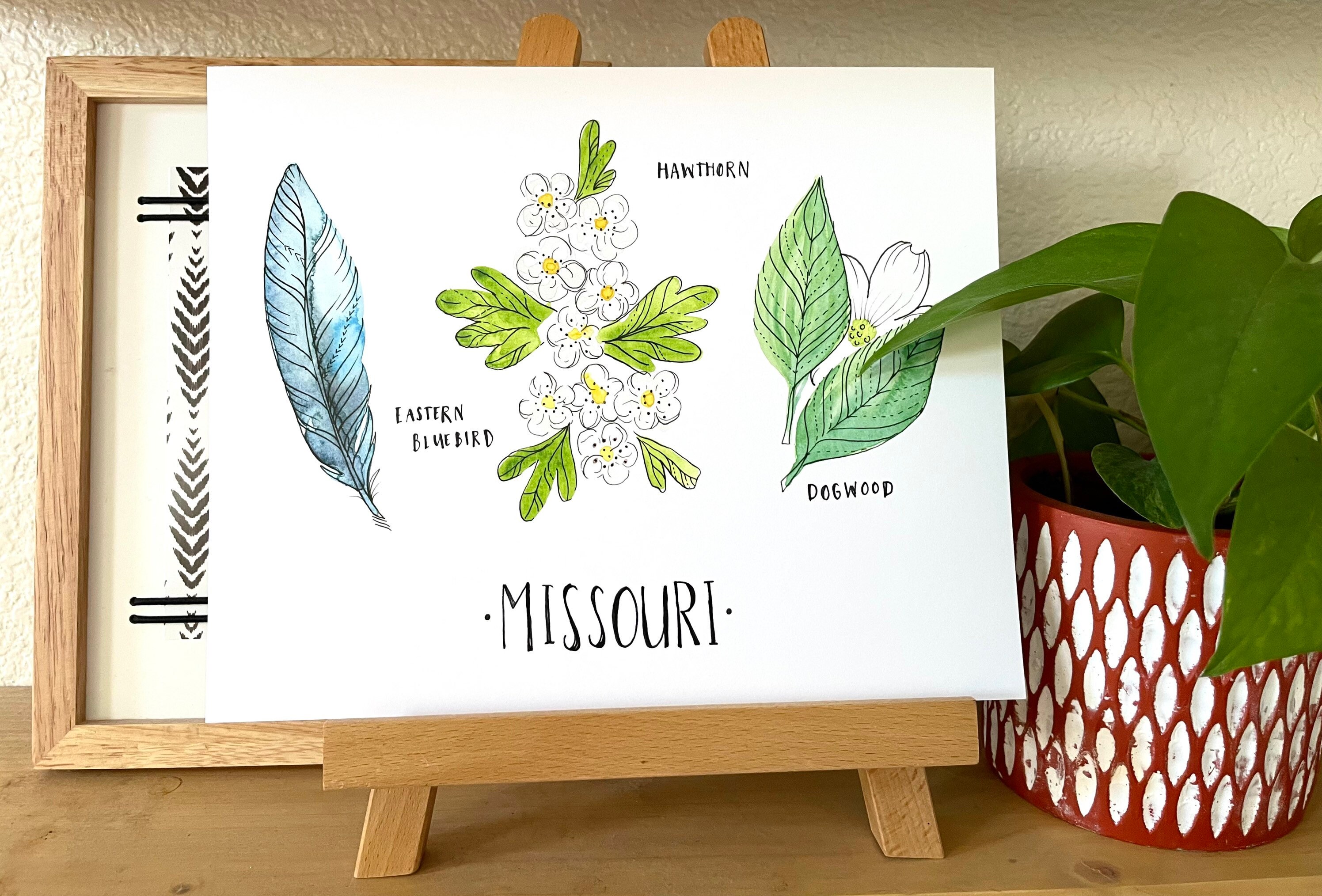 Missouri State Flower State Bird State Tree Art Print Missouri Art ...