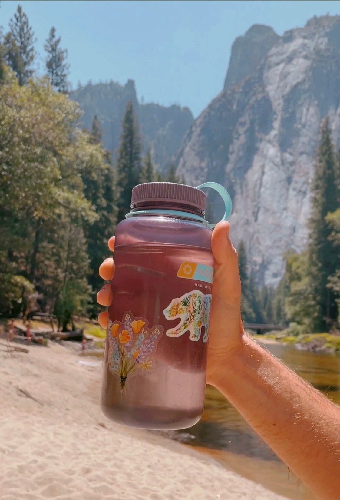 California Sticker Pack of 4 Stickers Nature Quail Redwood - Etsy