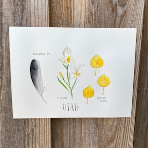Utah State Bird State Flower State Tree Art Print 8x10 Watercolor Ink ...