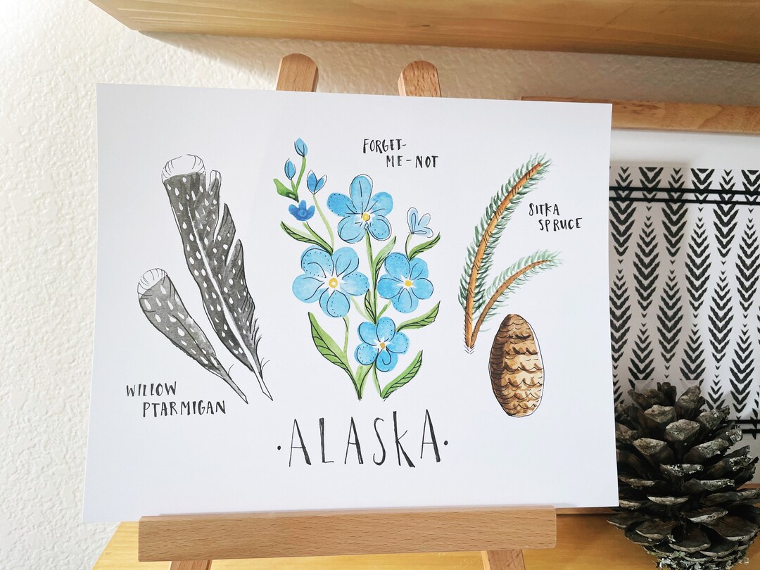 Alaska State Flower State Bird State Tree Alaska State Art Watercolor ...