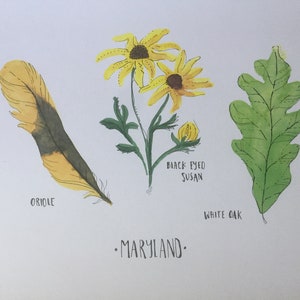 Maryland State Tree, Flower, Bird Art Print Botanical Watercolor State ...