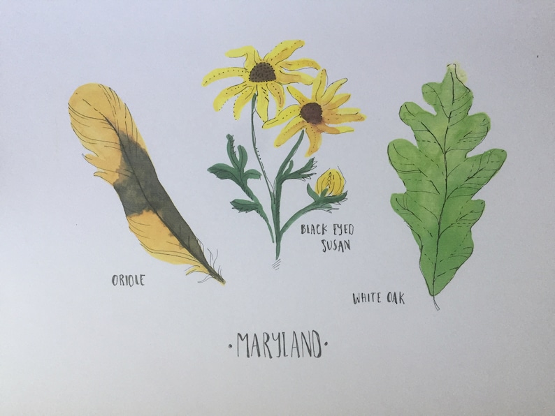 Maryland State Tree Flower Bird Art Print Botanical | Etsy