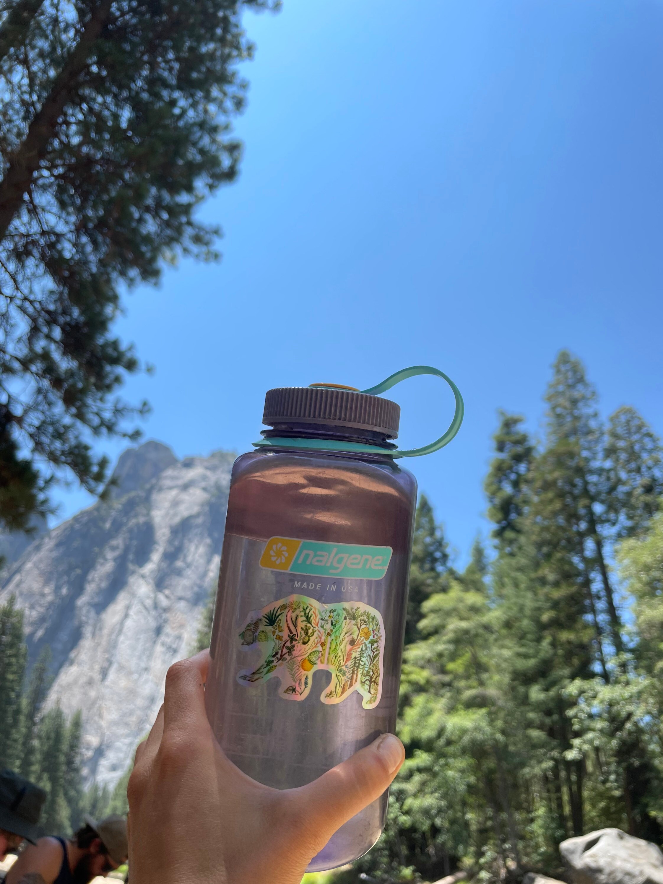 California Sticker Pack of 4 Stickers California Bear | Etsy