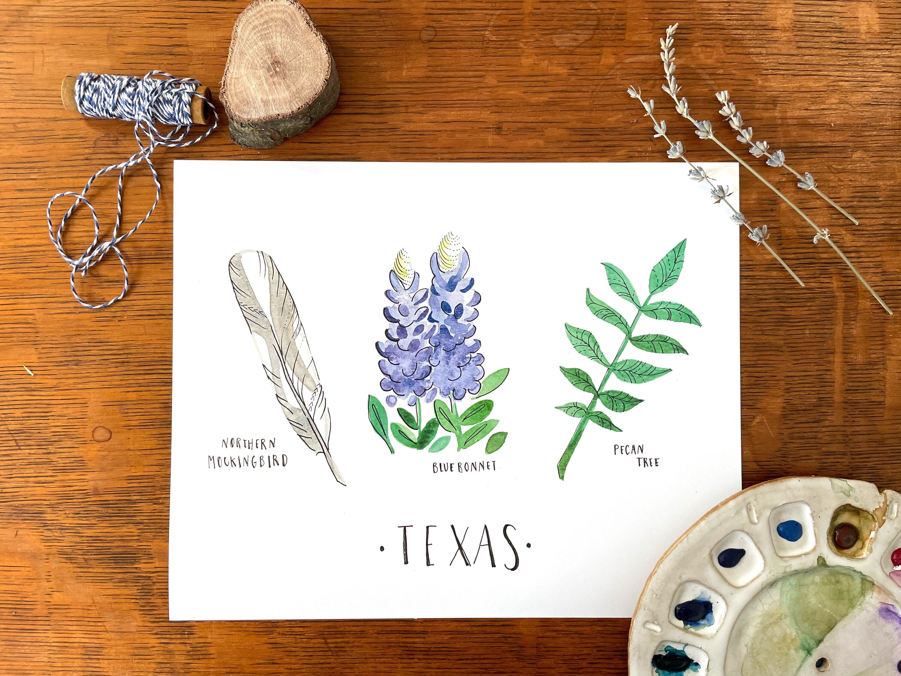Texas State Bird Flower and Tree Print State Flower State | Etsy