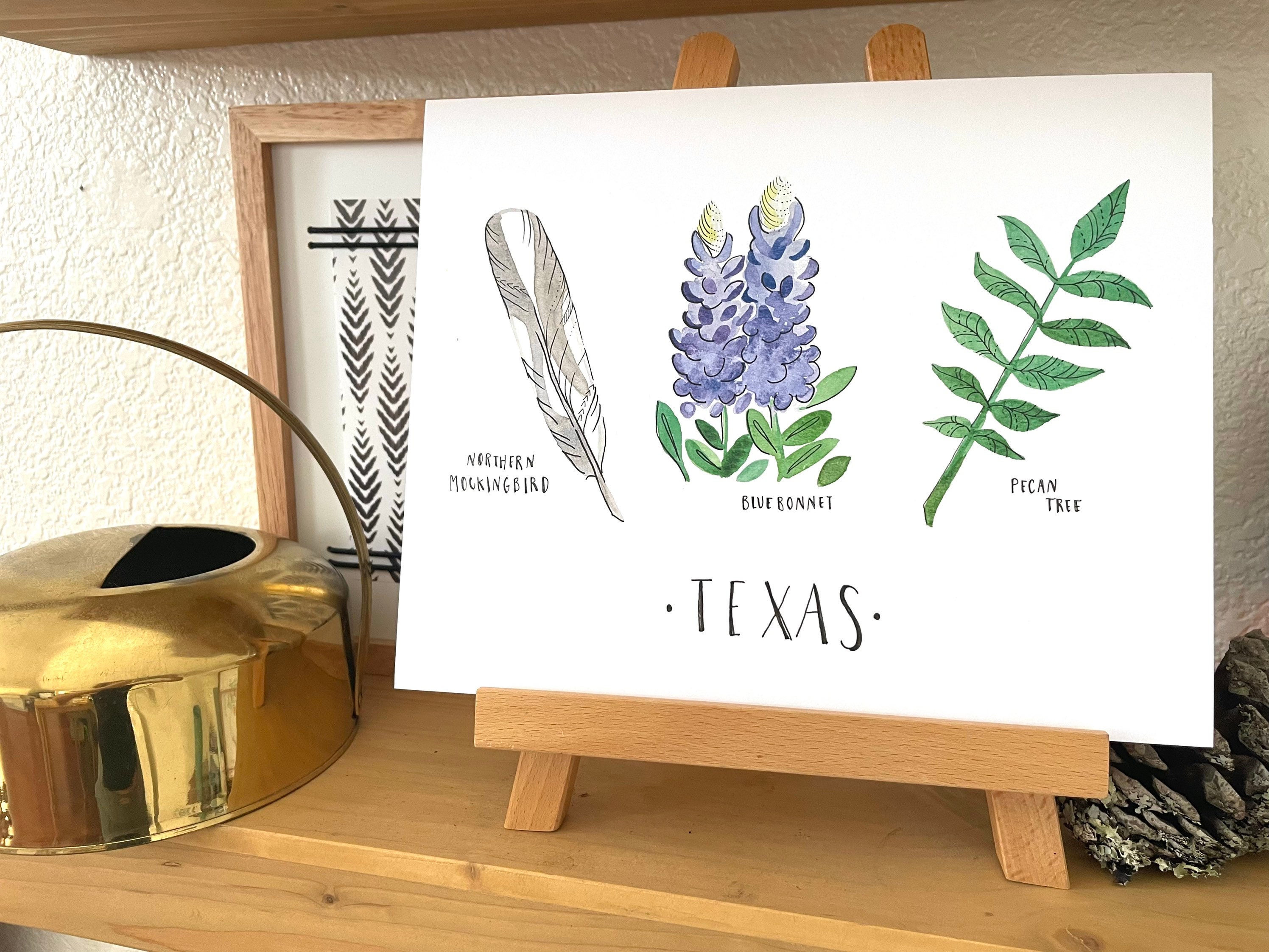 Texas State Bird Flower and Tree Print State Flower State | Etsy