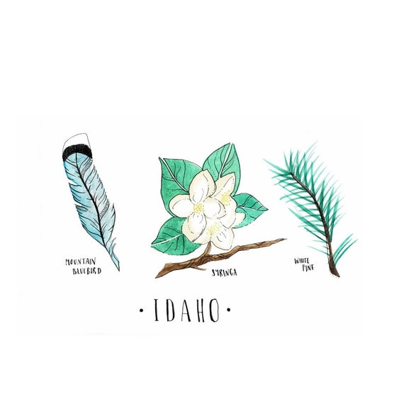 Idaho State Bird And Flower