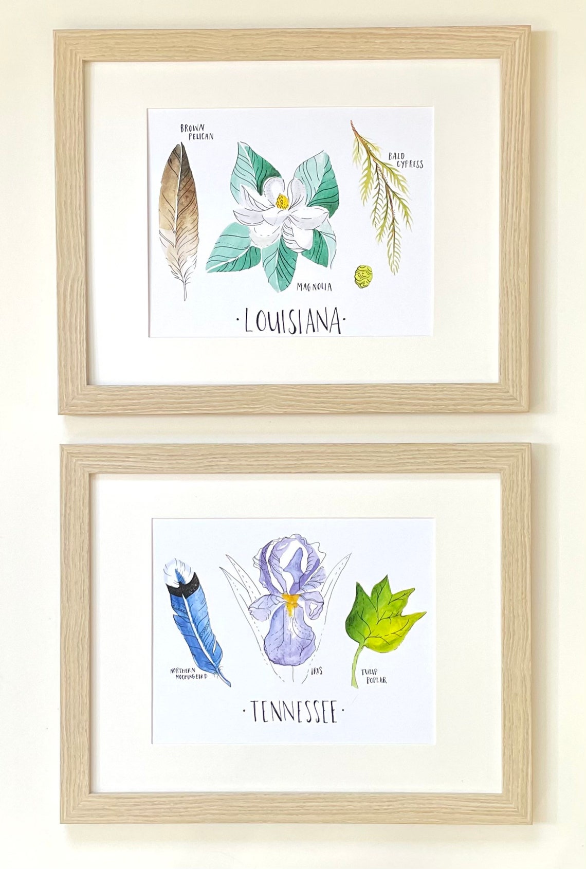 Tennessee State Flower, Bird, and Tree Print Watercolor Wall Art Print ...