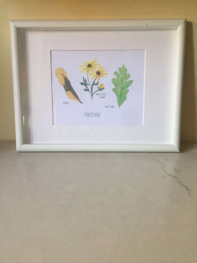 Maryland State Tree, Flower, Bird Art Print Botanical Watercolor State ...