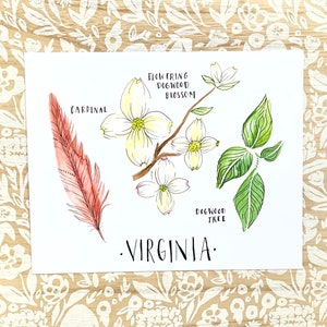 Virginia State Flower State Bird State Tree Art Dogwood Watercolor ...