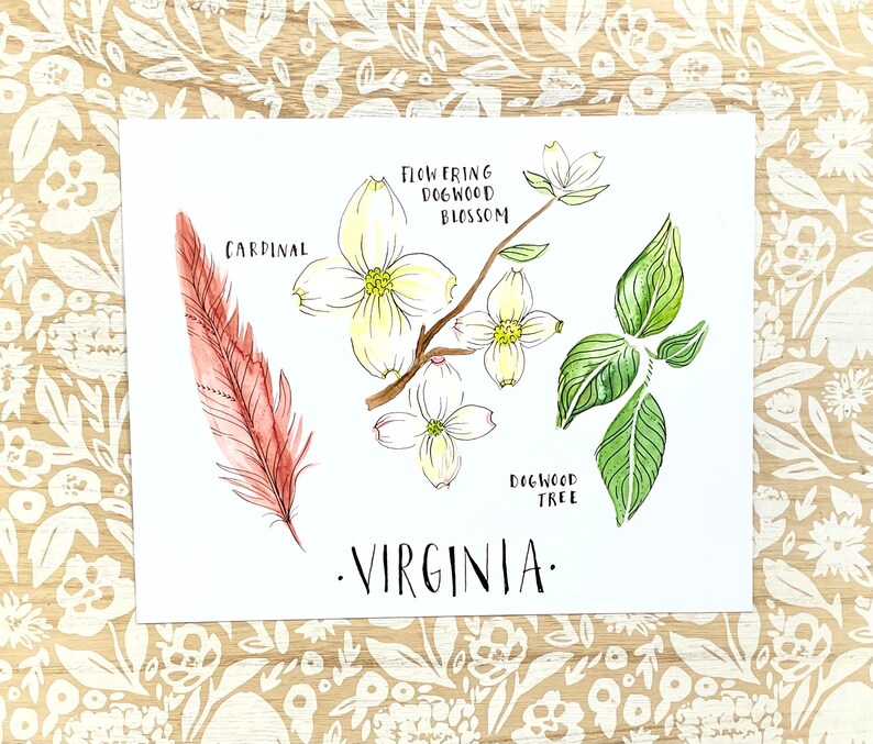 Virginia State Flower State Bird State Tree Art Dogwood | Etsy