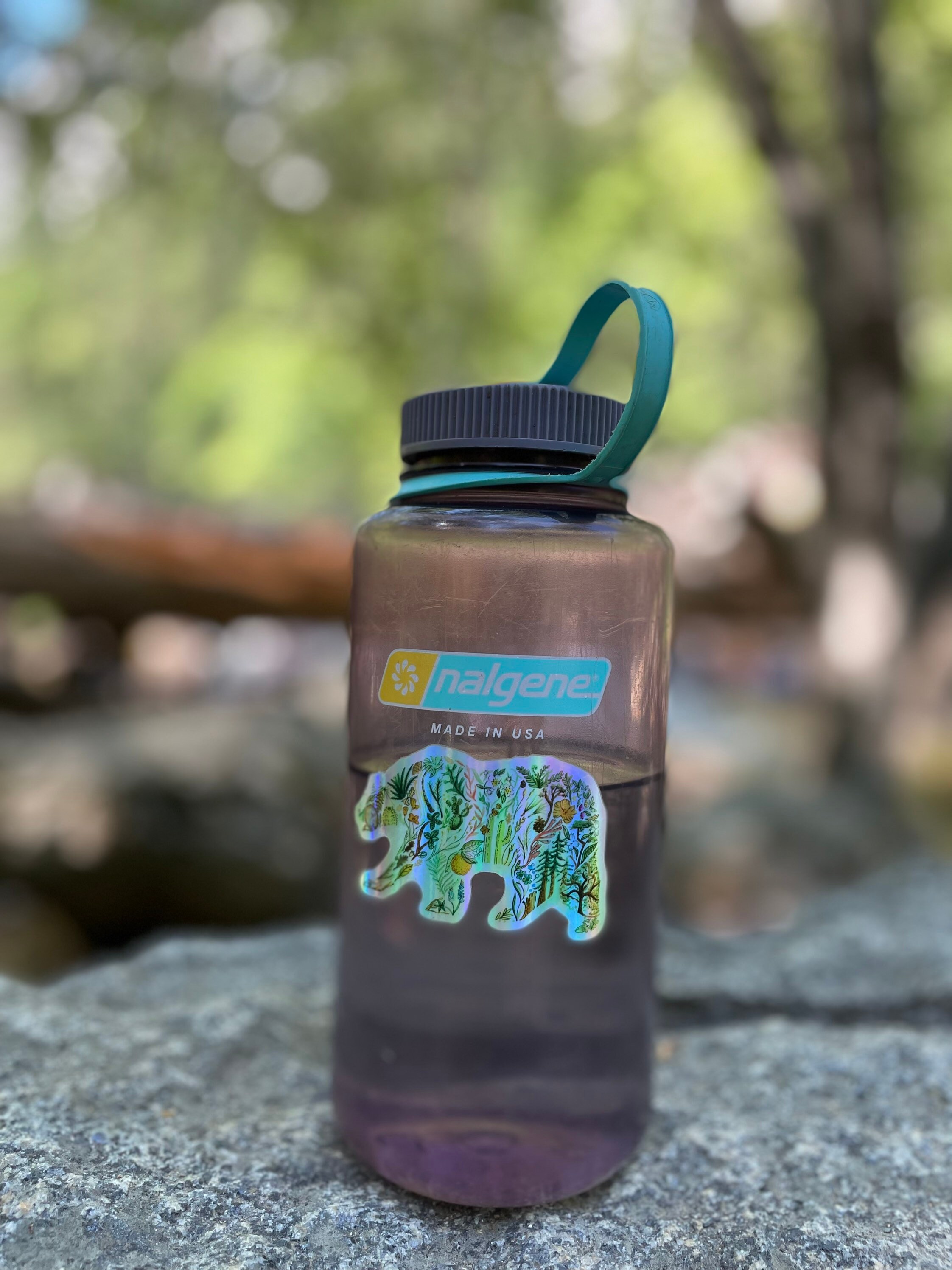 California Sticker Pack of 4 Stickers California Bear | Etsy