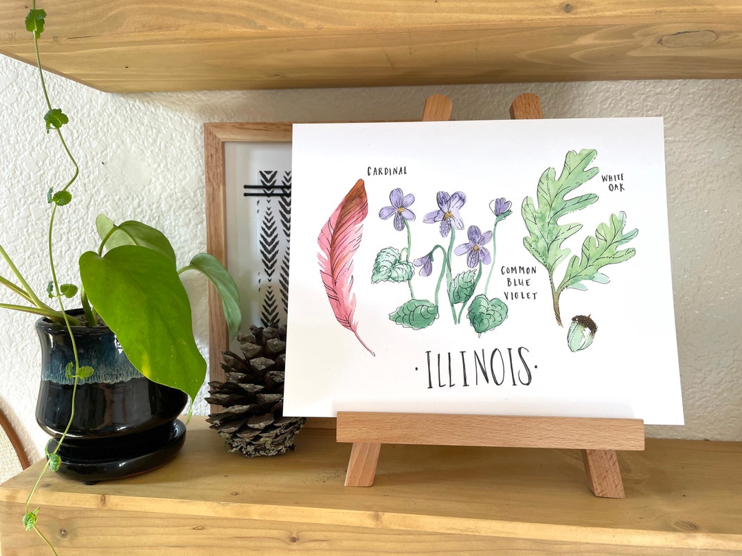 Illinois State Flower State Tree State Bird Watercolor Art Print ...